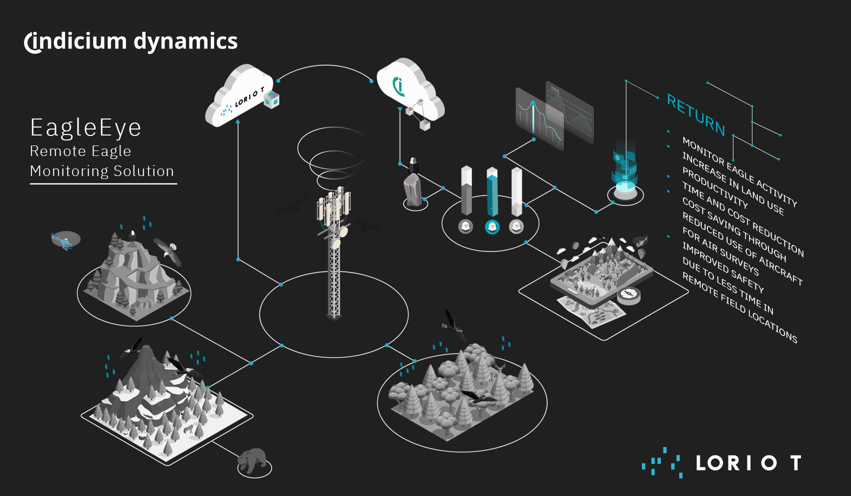 LORIOT | Use Case | EagleEye – Remote Eagle Monitoring